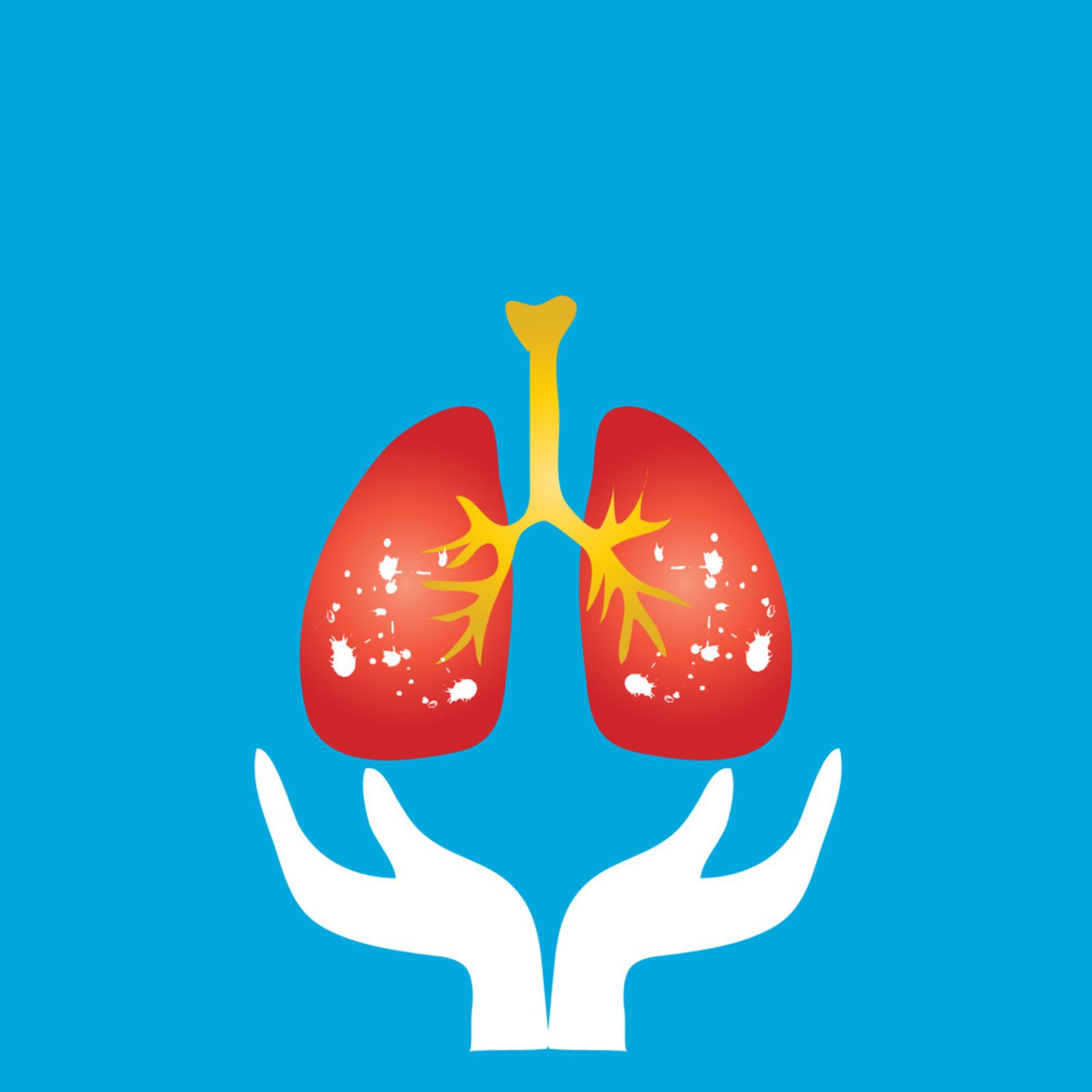 Performing Directly Observed Therapy for Tuberculosis Patients with ...